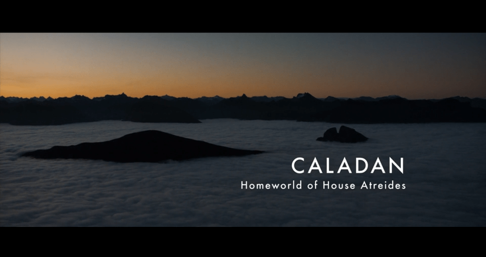 “Dune” (2021): the mythic structure, explained – To say nothing of the cat